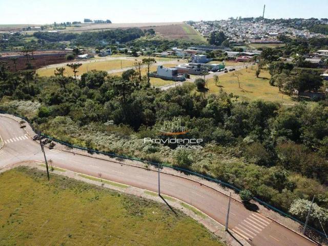 Terreno / Lote para Venda em Cascavel/PR Recanto Tropical
