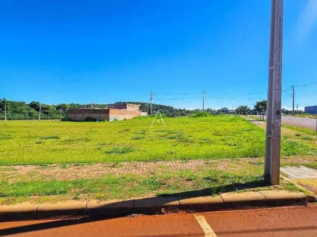 Terreno / Lote para Venda em Cascavel/PR Recanto Tropical