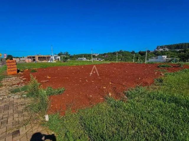 Terreno / Lote para Venda em Cascavel/PR Recanto Tropical