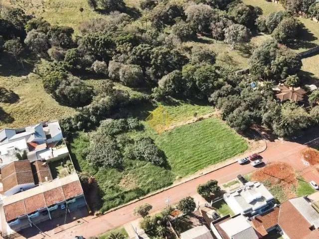 Terreno / Lote para Venda em Cascavel/PR Recanto Tropical