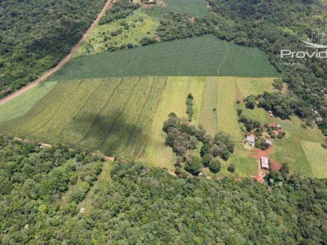 Terreno / Lote para Venda em Cascavel/PR São João dOeste