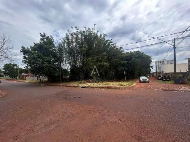 Terreno / Lote para Venda em Cascavel/PR Santa Cruz