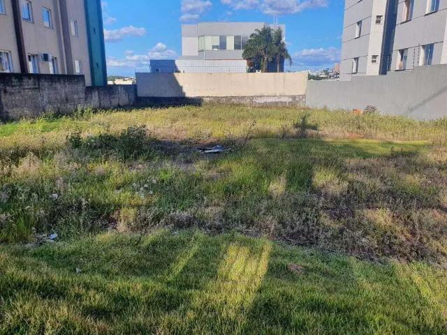 Terreno / Lote para Venda em Cascavel/PR Santa Cruz