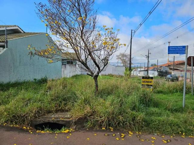 Terreno / Lote para Venda em Cascavel/PR Santa Felicidade