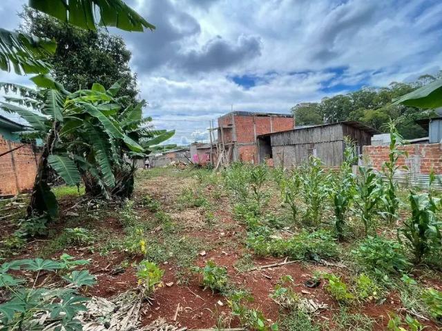 Terreno / Lote para Venda em Cascavel/PR Santa Felicidade