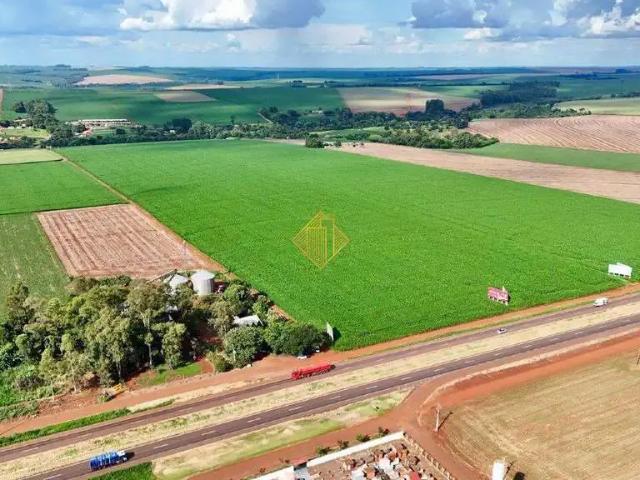 Terreno / Lote para Venda em Cascavel/PR Sede Alvorada