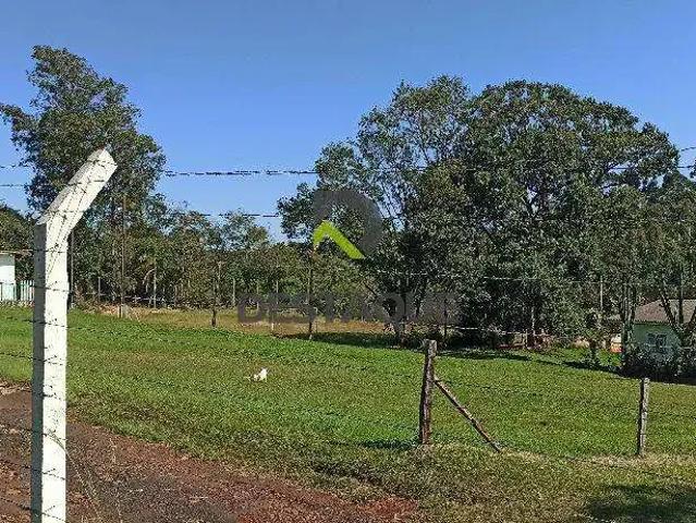 Terreno / Lote para Venda em Cascavel/PR Universitário