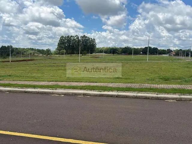 Terreno / Lote para Venda em Cascavel/PR Universitário