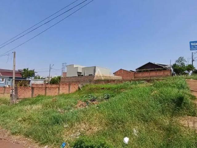 Terreno / Lote para Venda em Cascavel/PR Universitário