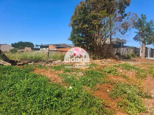 Terreno / Lote para Venda em Cascavel/PR Universitário