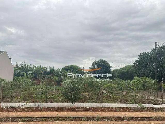 Terreno / Lote para Venda em Cascavel/PR Universitário