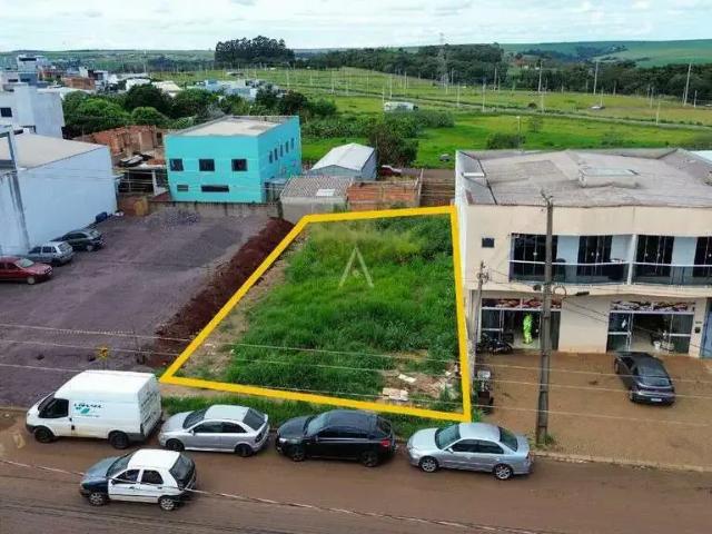 Terreno / Lote para Venda em Cascavel/PR Universitário