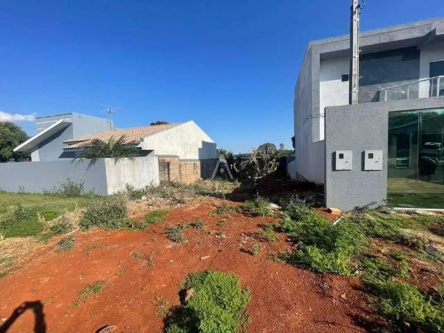 Terreno / Lote para Venda em Cascavel/PR Universitário