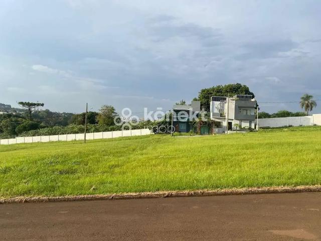 Terreno / Lote para Venda em Cascavel/PR Universitário