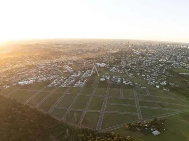 Terreno / Lote para Venda em Cascavel/PR Universitário