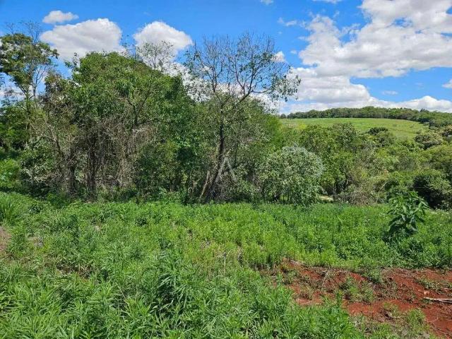 Terreno / Lote para Venda em Cascavel/PR Universitário