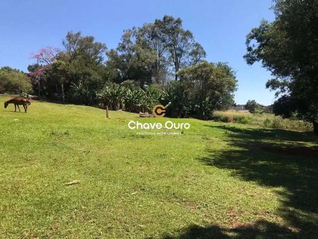 Terreno / Lote para Venda em Cascavel/PR Universitário
