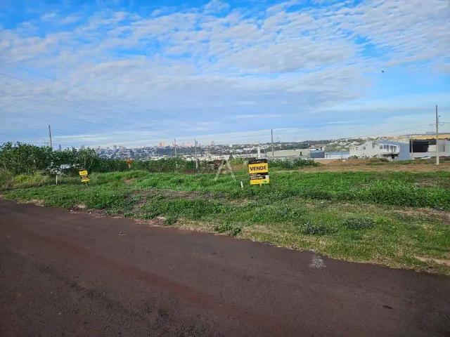 Terreno / Lote para Venda em Cascavel/PR Vista Linda