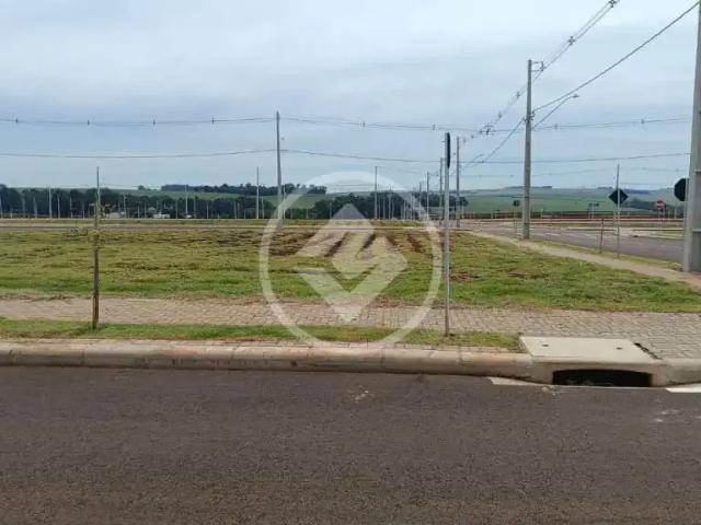 Terreno / Lote para Venda em Cascavel/PR Zona Rural