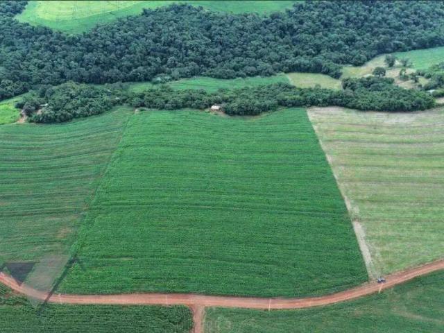 Terreno / Lote para Venda em Cascavel/PR Zona Rural