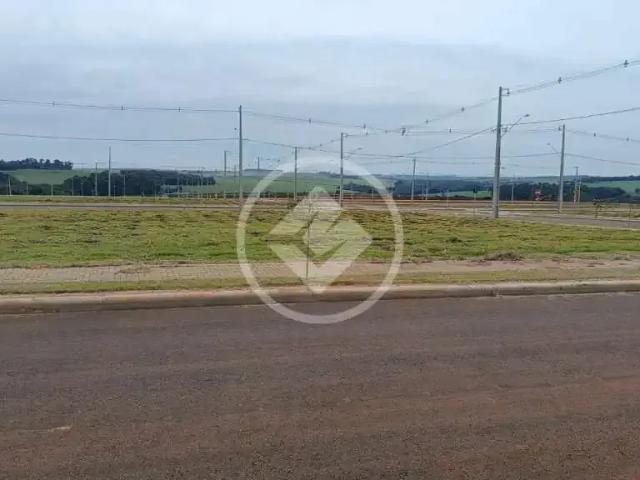 Terreno / Lote para Venda em Cascavel/PR Zona Rural