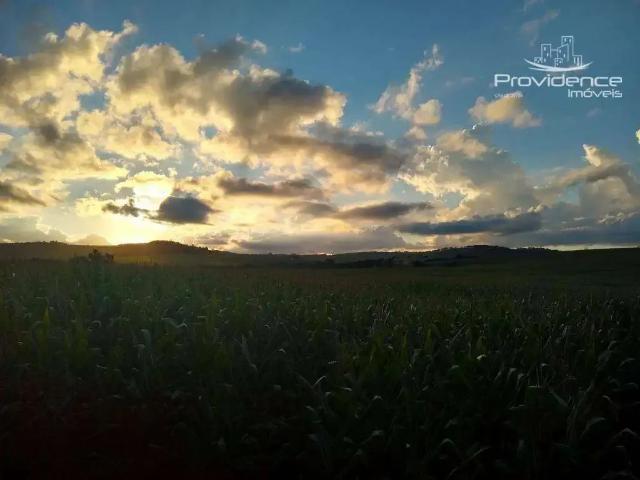 Terreno / Lote para Venda em Cascavel/PR Zona Rural