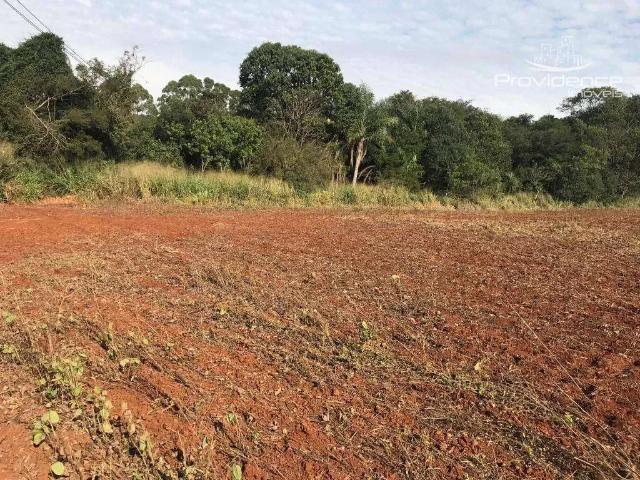 Terreno / Lote para Venda em Cascavel/PR Zona Rural