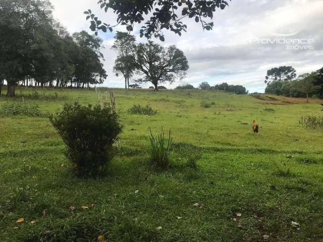 Terreno / Lote para Venda em Cascavel/PR Zona Rural