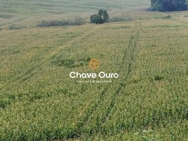 Terreno / Lote para Venda em Cascavel/PR Zona Rural