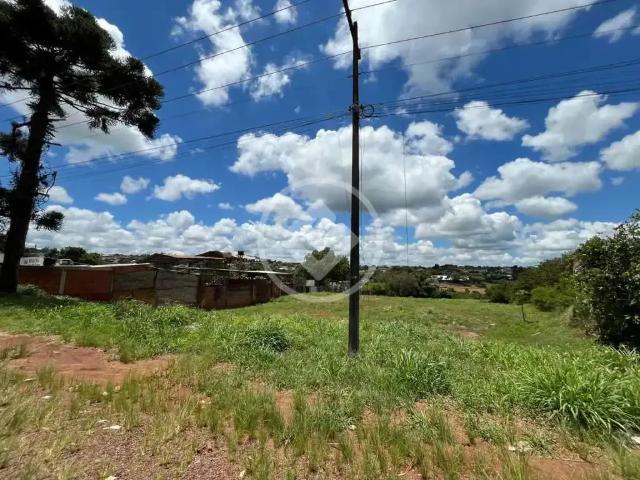 Terreno / Lote para Venda em Cascavel/PR 14 de Novembro