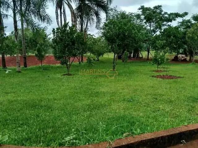 Terreno / Lote para Venda em Catalão/GO Setor Central