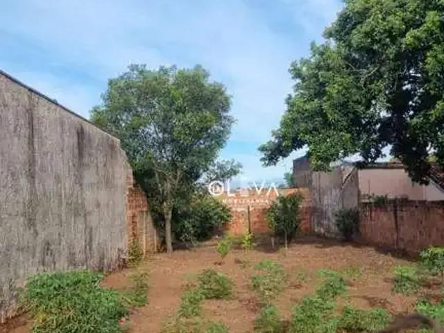 Terreno / Lote para Venda em Catanduva/SP Jardim Soto
