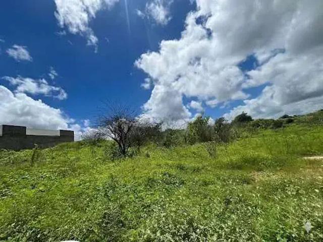 Terreno / Lote para Venda em Catolé do Rocha/PB Centro