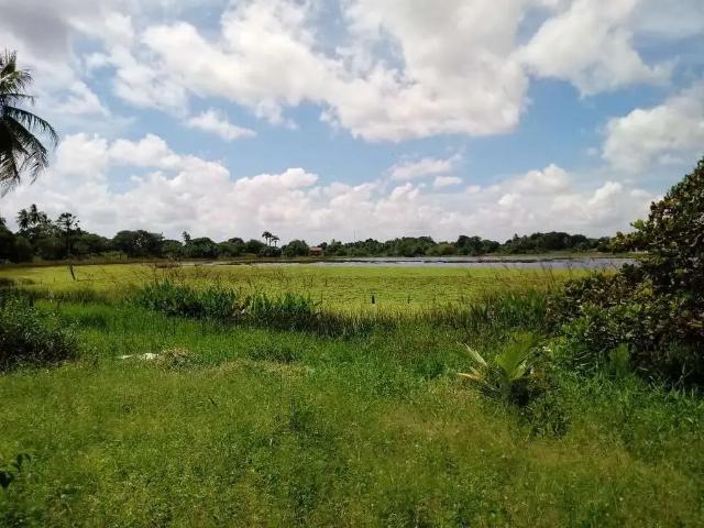 Terreno / Lote para Venda em Caucaia/CE Capuã