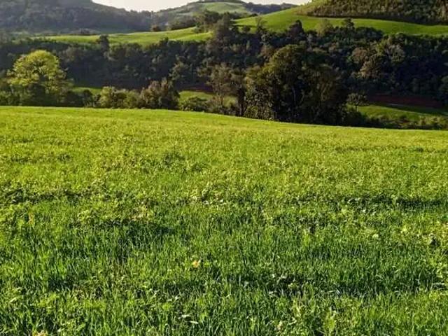 Terreno / Lote para Venda em Caxambu do Sul/SC Centro