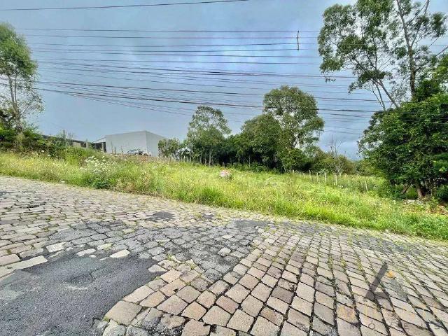 Terreno / Lote para Venda em Caxias do Sul/RS Colina do Sol