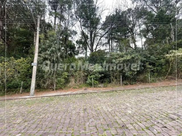 Terreno / Lote para Venda em Caxias do Sul/RS Colina Sorriso