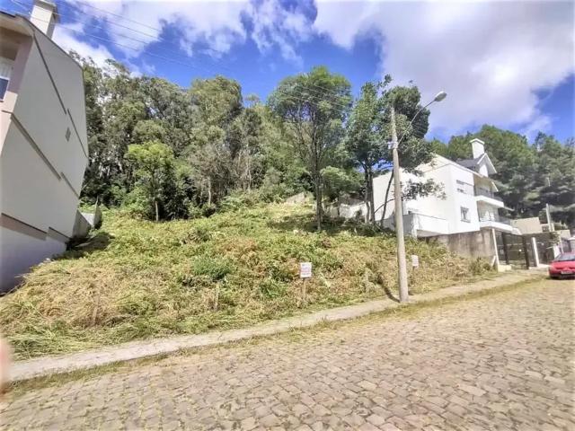 Terreno / Lote para Venda em Caxias do Sul/RS Colina Sorriso