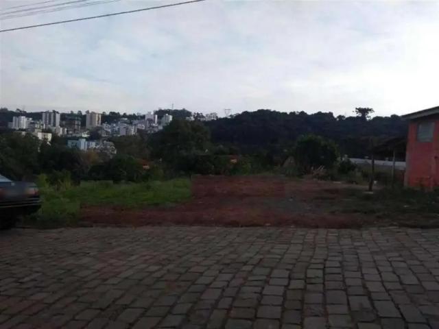 Terreno / Lote para Venda em Caxias do Sul/RS Colina Sorriso