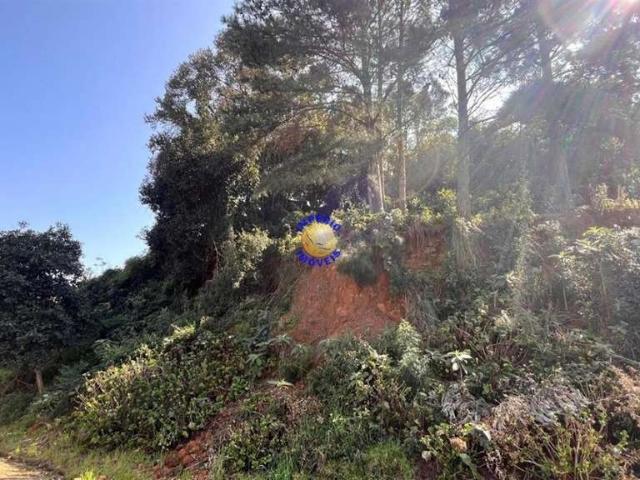 Terreno / Lote para Venda em Caxias do Sul/RS Colina Sorriso