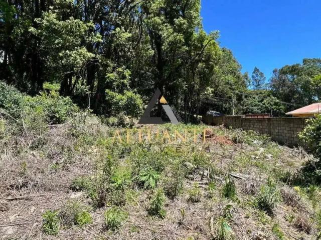 Terreno / Lote para Venda em Caxias do Sul/RS Colina Sorriso