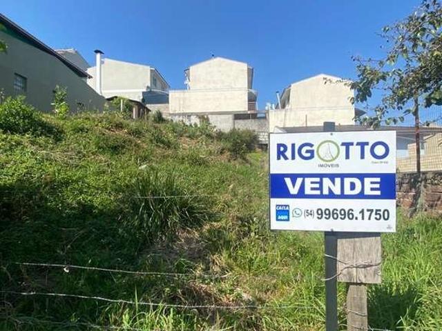 Terreno / Lote para Venda em Caxias do Sul/RS Centenário