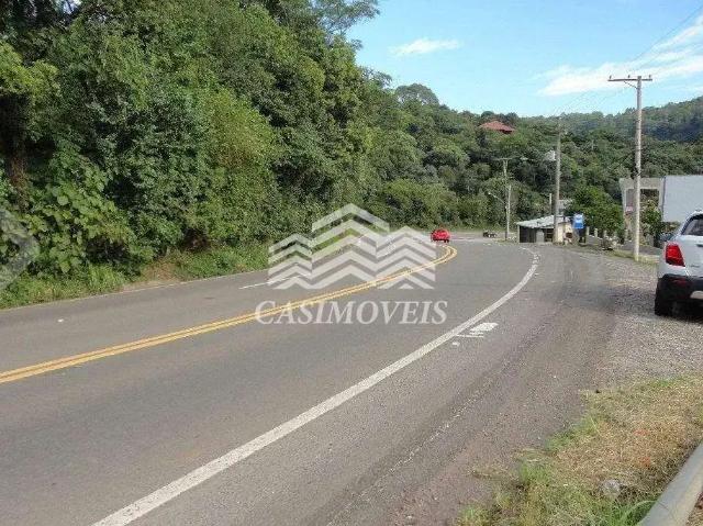 Terreno / Lote para Venda em Caxias do Sul/RS Centro