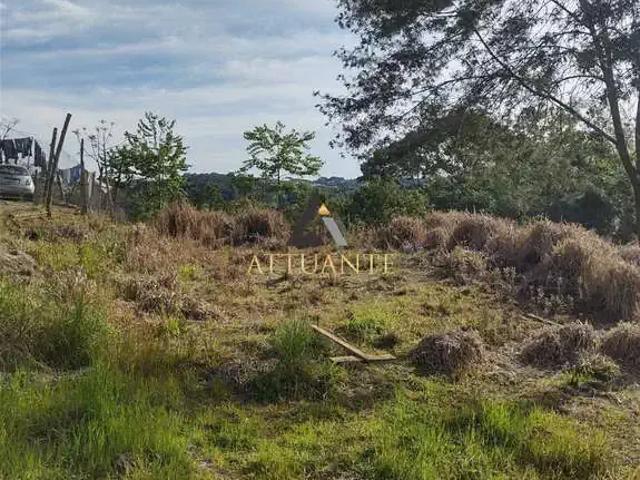 Terreno / Lote para Venda em Caxias do Sul/RS Centro