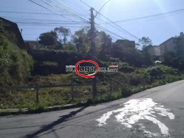 Terreno / Lote para Venda em Caxias do Sul/RS Charqueadas