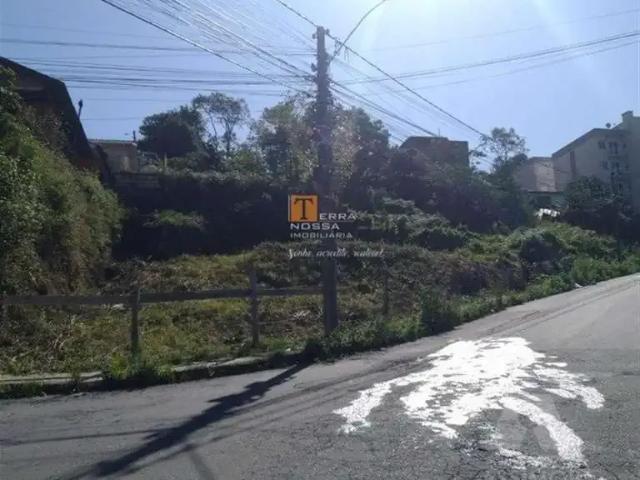 Terreno / Lote para Venda em Caxias do Sul/RS Charqueadas