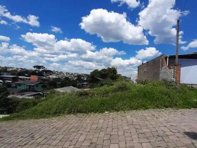 Terreno / Lote para Venda em Caxias do Sul/RS Charqueadas