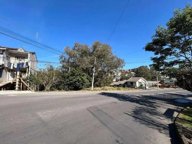 Terreno / Lote para Venda em Caxias do Sul/RS Charqueadas