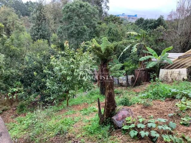 Terreno / Lote para Venda em Caxias do Sul/RS Charqueadas