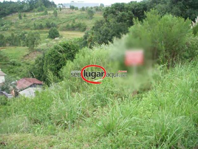 Terreno / Lote para Venda em Caxias do Sul/RS Cidade Nova